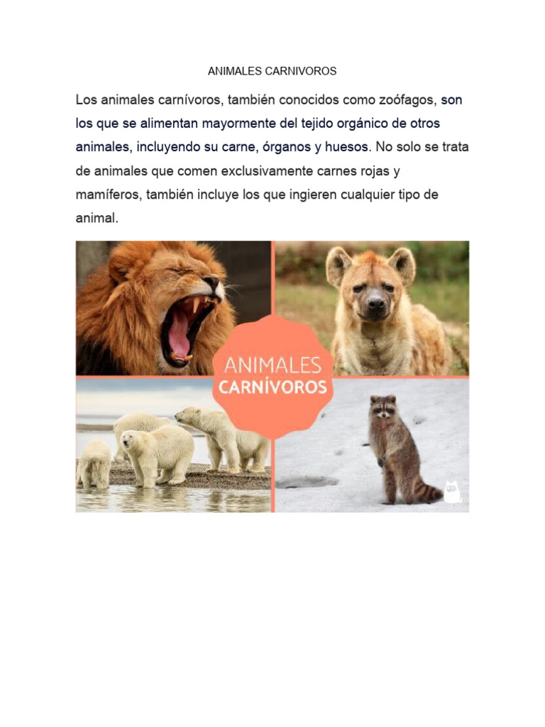 Animales Carnivoros | PDF | Ciencia y matemáticas | Religión y ...