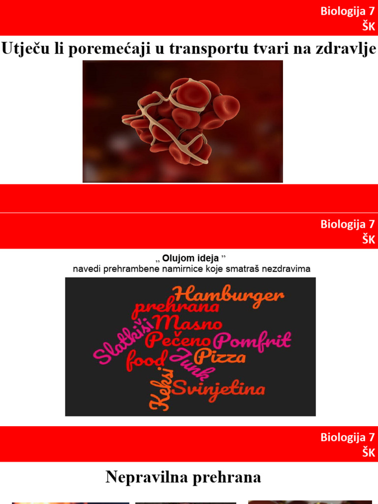 Utječu Li Poremećaji U Transportu Tvari Na Zdravlje | PDF