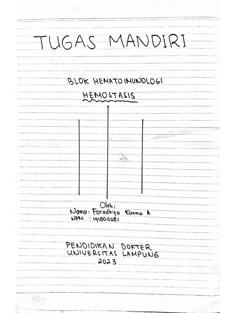 Faradhifa Karima Ardianti - 1918011081 - Tugas HI Terbimbing | PDF