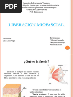 Test de Jack | PDF | Pie | Dedo del pie