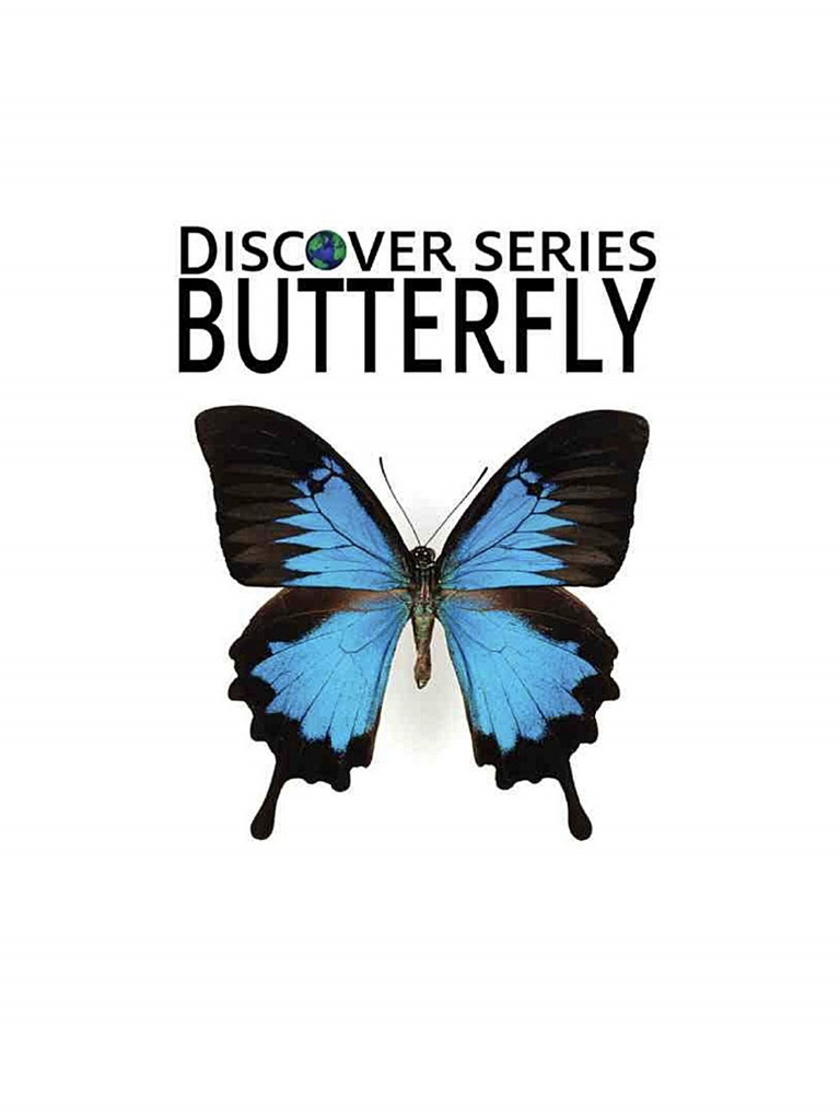 Discover Series Butterfly | PDF