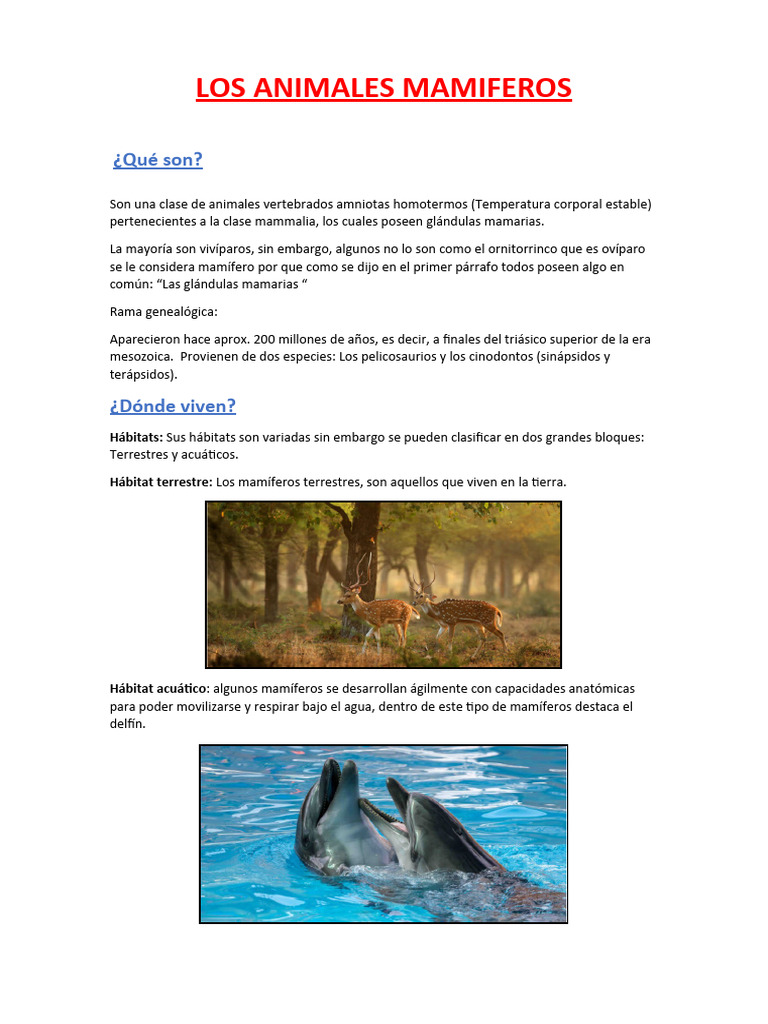 Los Animales Mamiferos | PDF | Mamíferos | Marsupiales