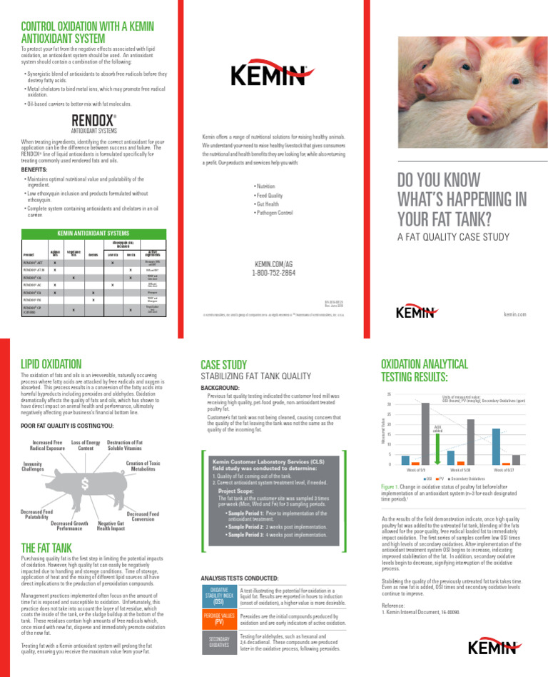 Fat Tank Case Study - Swine | PDF | Antioxidant | Fat