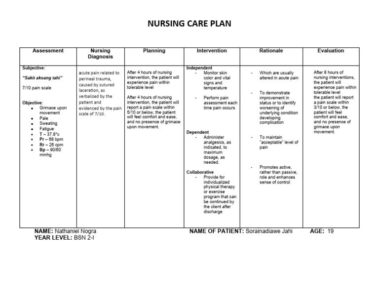 NCP Format | PDF | Pain | Nursing