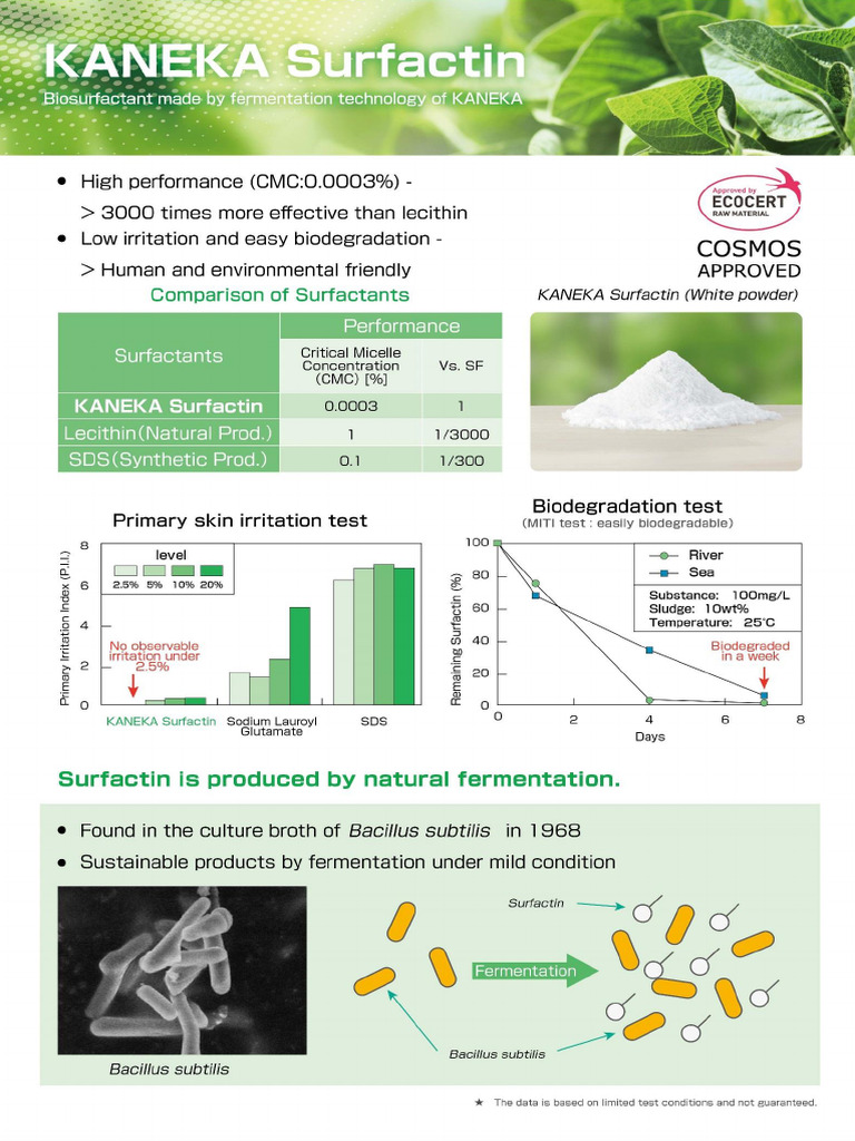 Surfactin Catalogue Eng | PDF