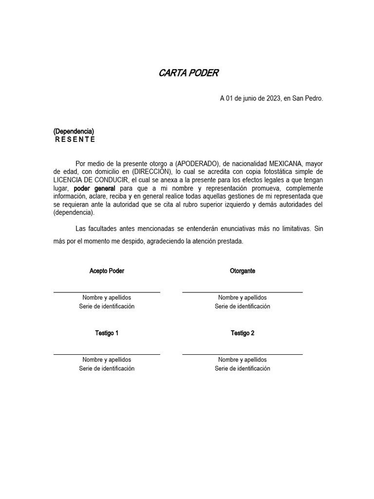 Carta Poder Con Testigos | PDF