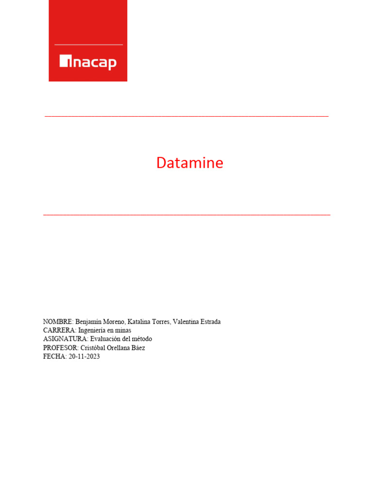 Datamine | PDF | Minería | Software