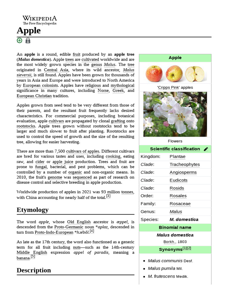 Apple | PDF | Apple