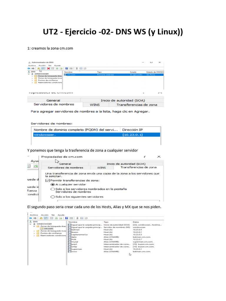 UT2 - Ejercicio - 02 - DNS WS (Y Linux) ) Pablo Pio Ramos | PDF