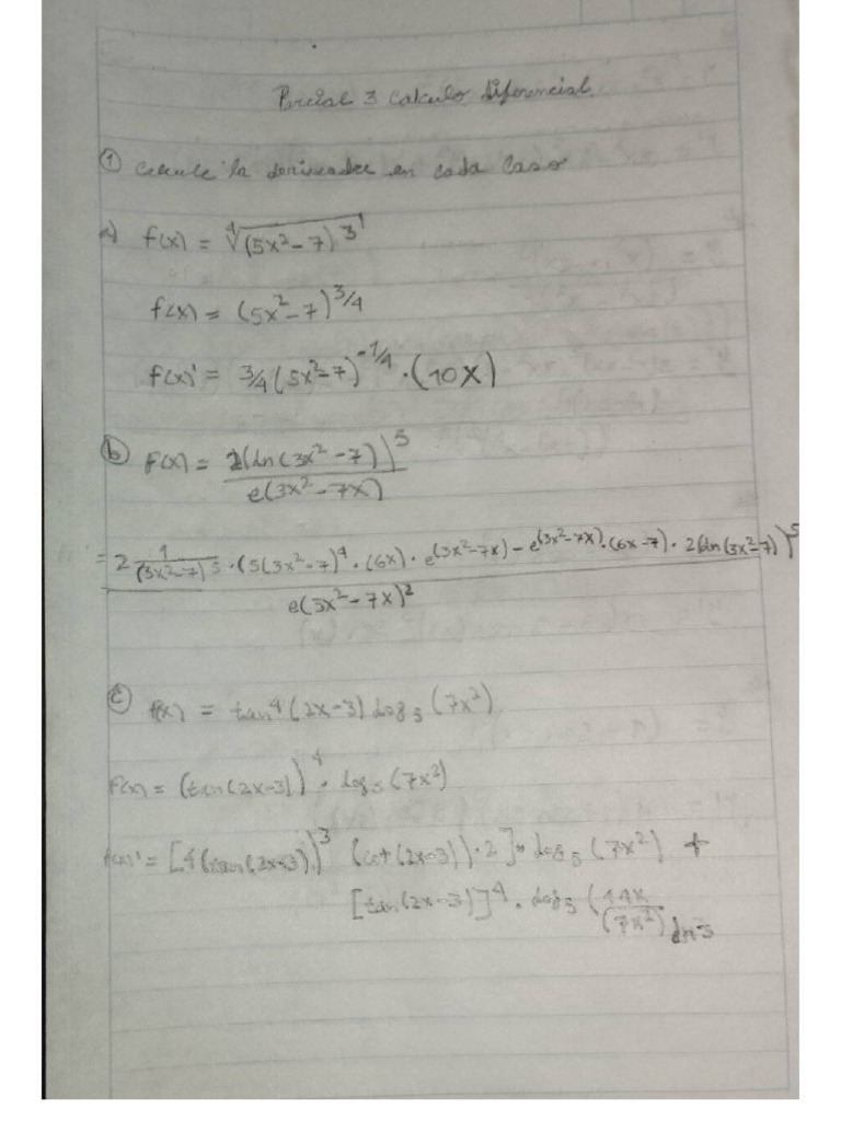 Calculo Parcial | PDF