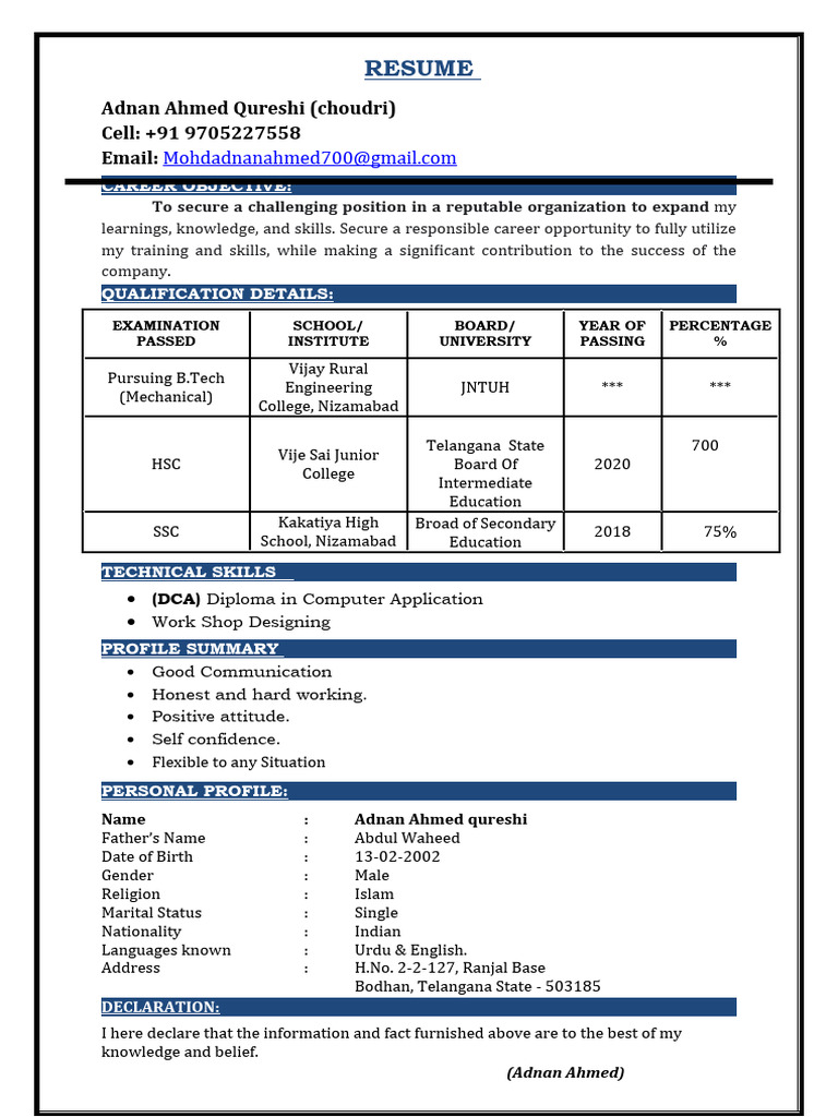 Adnan Resume | PDF