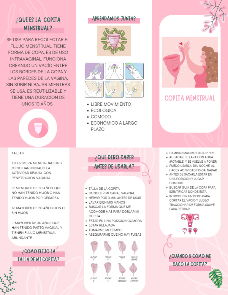 Tríptico Copita Menstrual CRR | PDF | Vagina | Menstruación