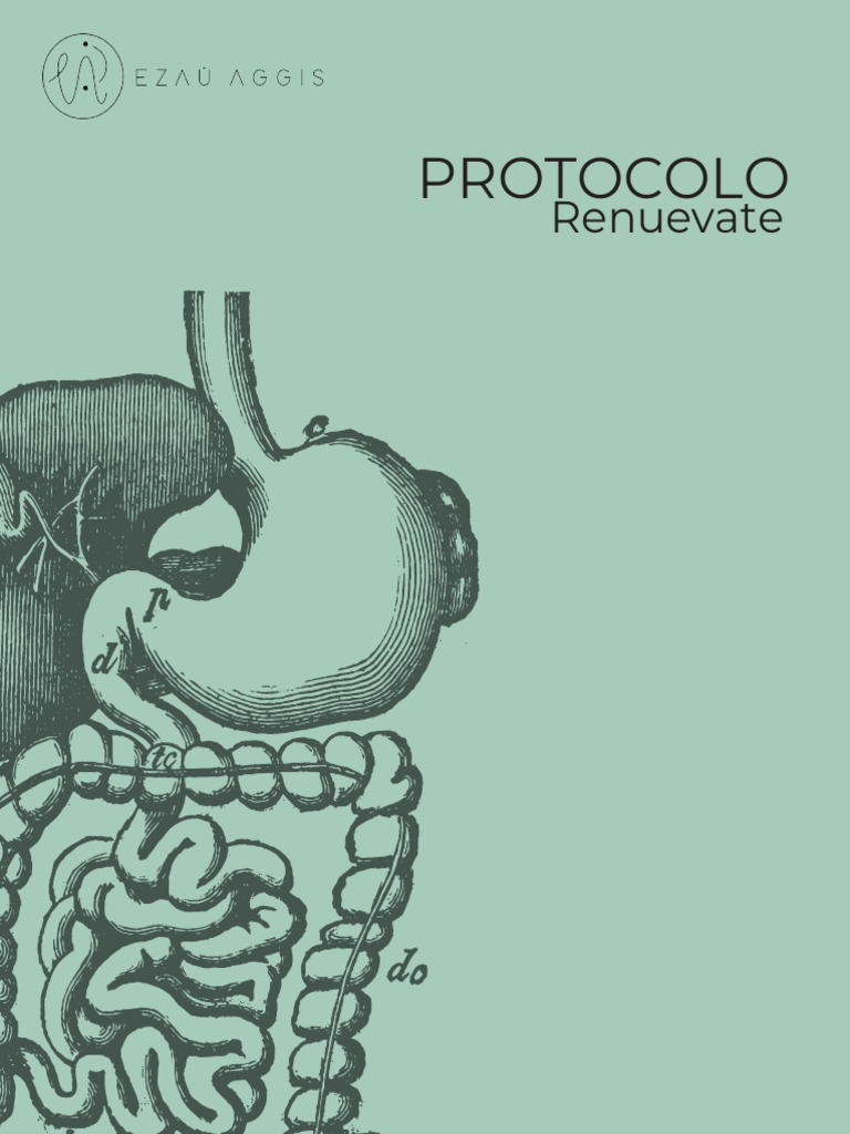 Protocolo P01 | PDF | ensalada | sal