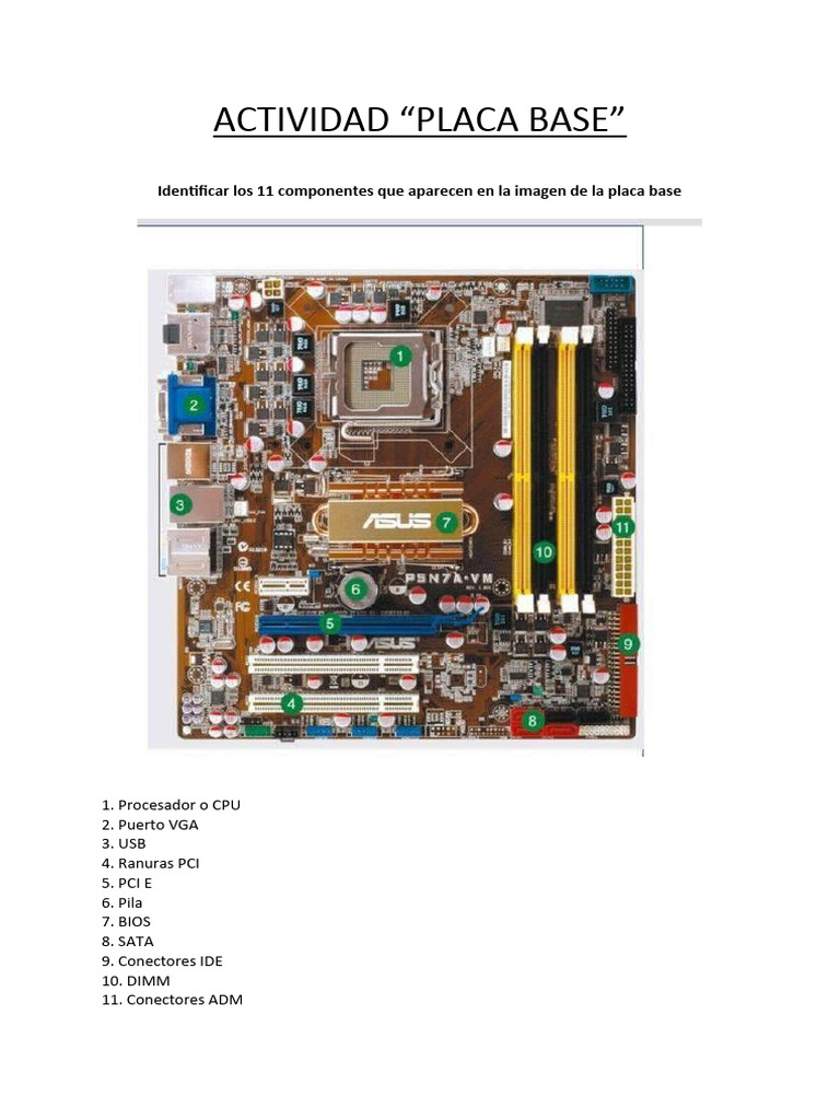 Actividad - Placa Base | PDF