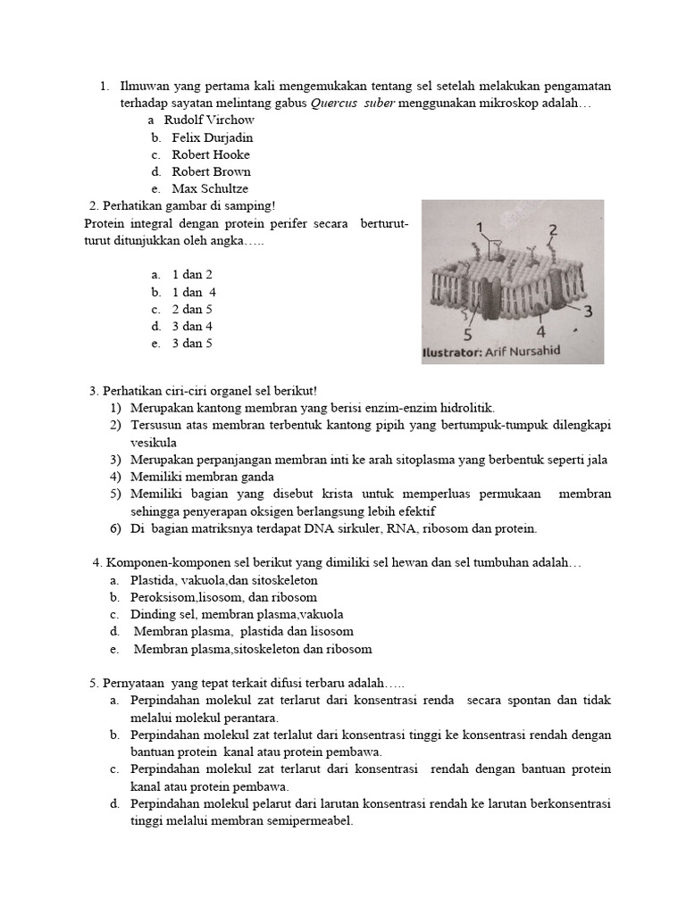 Pas Kelas Xi SMP Wahana Cita | PDF Pas Kelas Xi SMP Wahana Cita | PDF