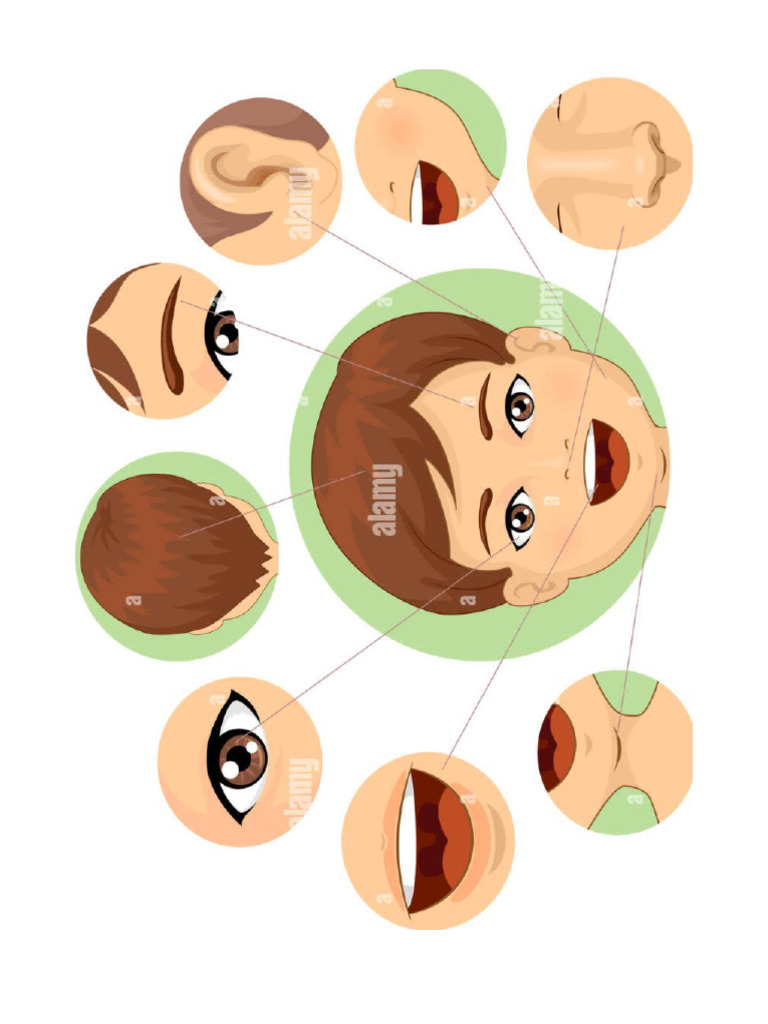 Esquema Corporal | PDF