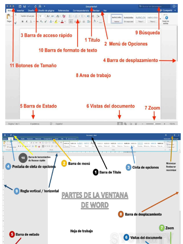 Partes de Word | PDF Partes de Word | PDF