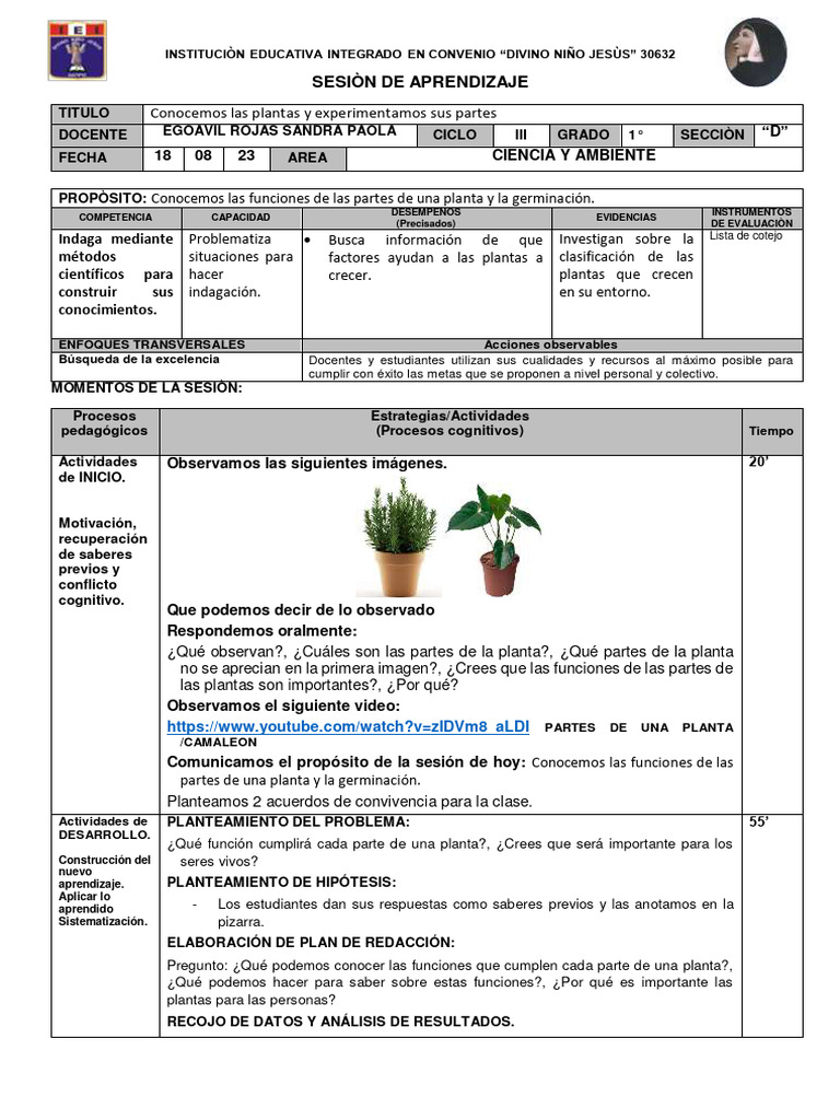 Aprendiendo sobre las plantas en 1° grado | PDF | Evaluación | Aprendizaje