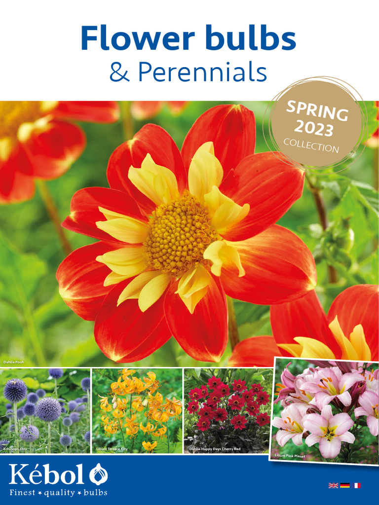 Spring 2023 Flower Bulbs & Perennials Catalog | PDF | Horticulture | Plants