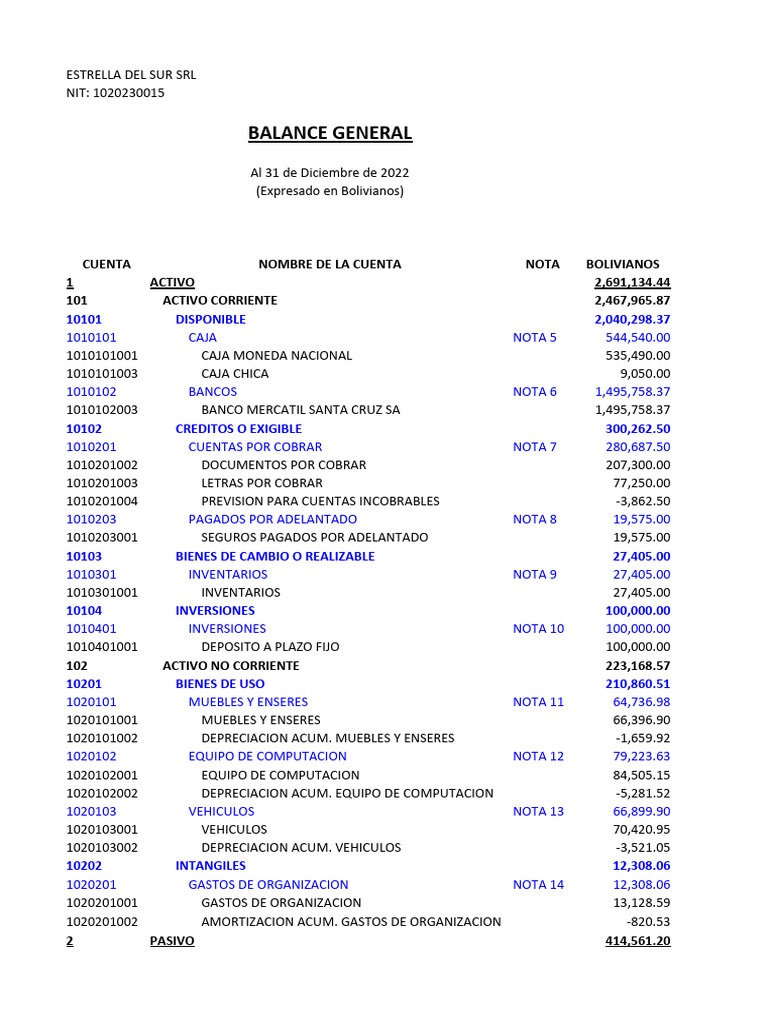 Balance General | Descargar gratis PDF | Salario | Servicios financieros