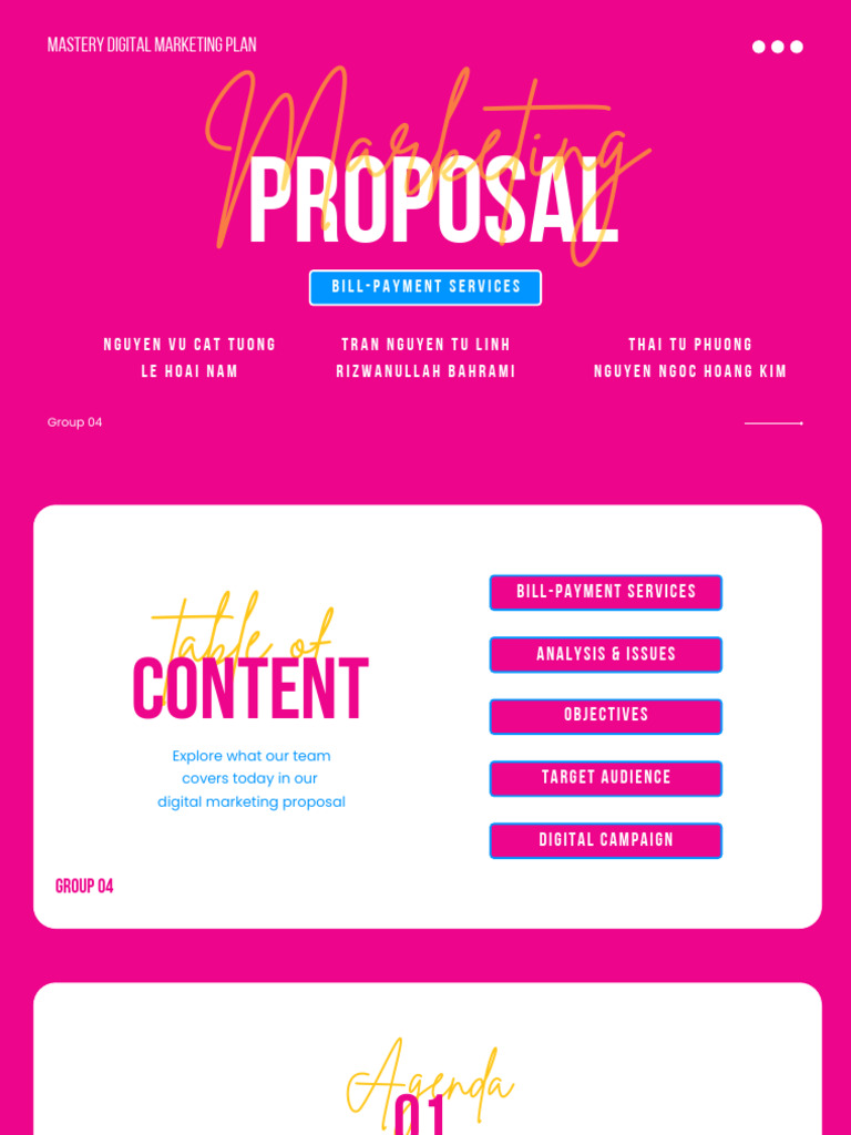 MoMo - Digital Marketing Proposal | PDF | Digital Marketing | Target Audience
