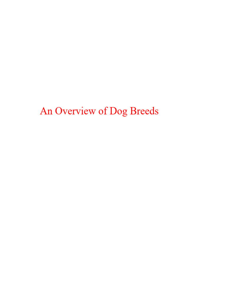 An Overview of Dog Breeds | PDF | Dogs | Dog Breeds