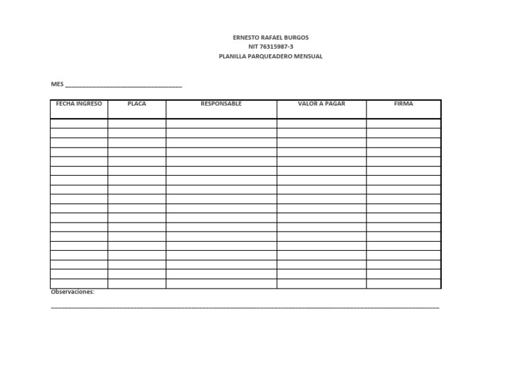 Formato Mensual Parqueo | PDF