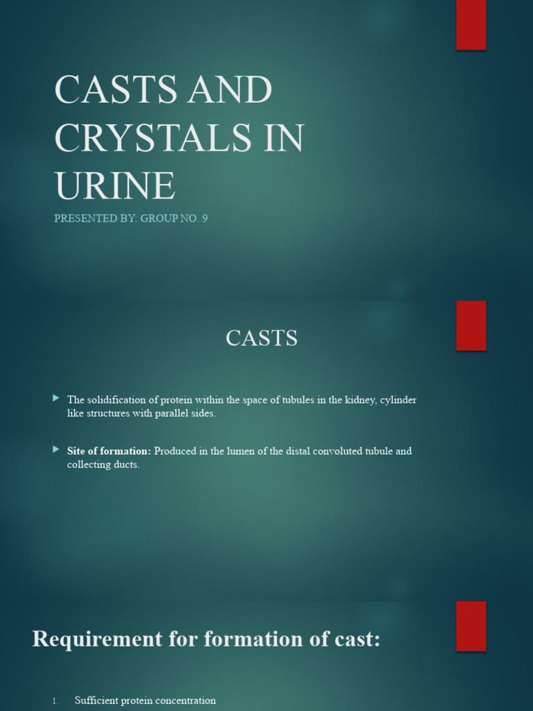 Casts and Crystals in Urine | PDF