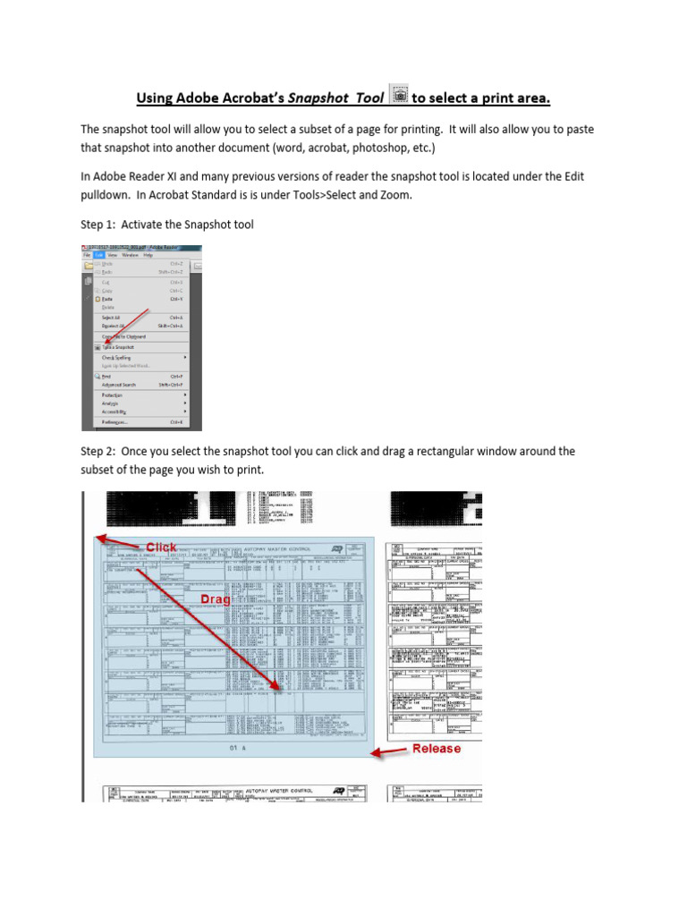 Using Snapshot in Adobe Acrobat | PDF