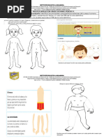 100 Fichas Esquema Corporal | PDF | Pierna humana | Cuerpo humano