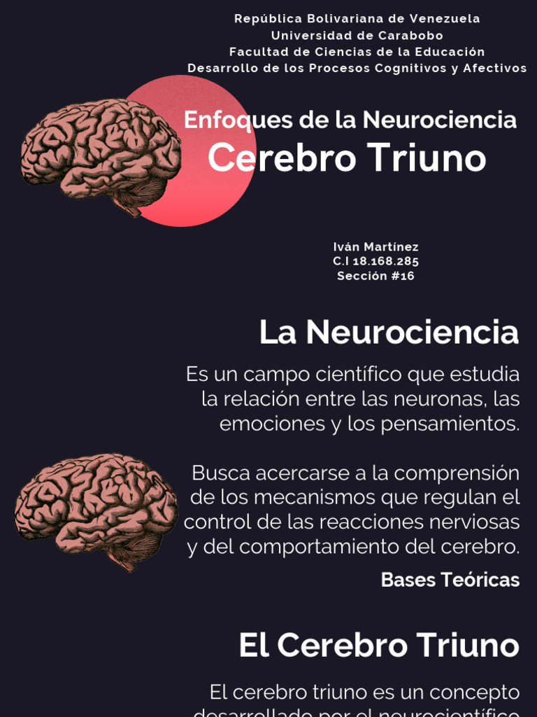 Cerebro Triuno | PDF | Cerebro | Las emociones