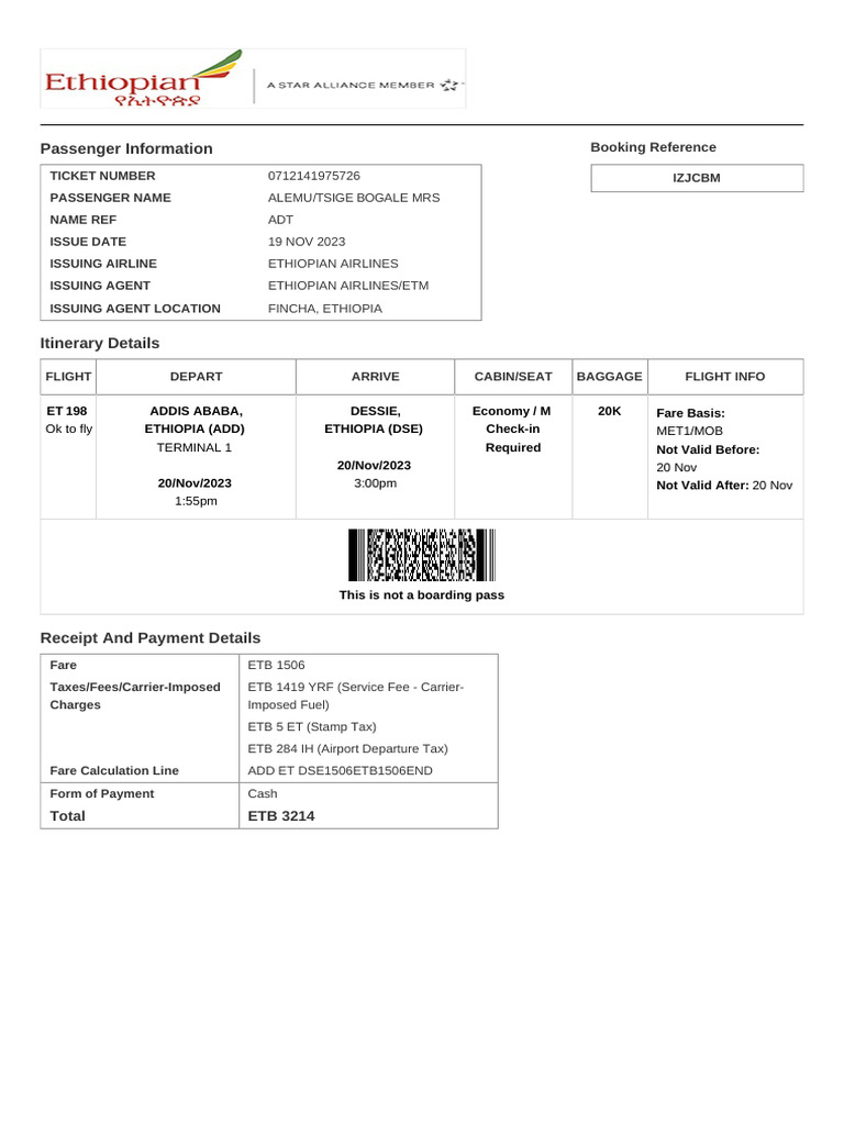 Ethiopian Airlines Passenger Ticket Info | PDF | Service Industries ...