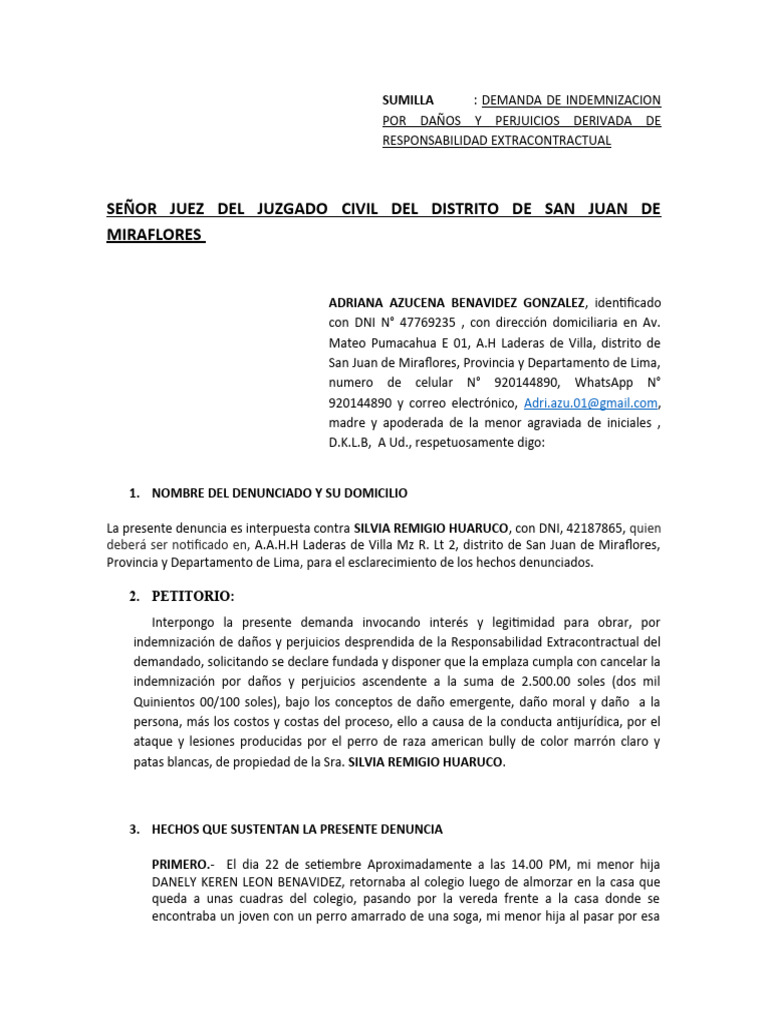 Demanda Por Daños y Perjuicios Danely | PDF | Daños y perjuicios | Justicia