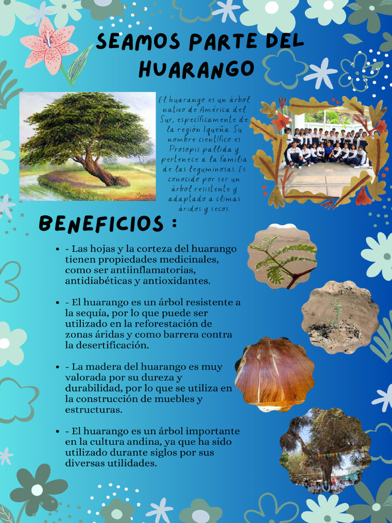 Infografía Del Huarango | PDF