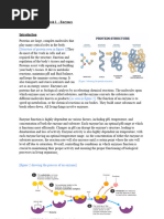 BIO101 Lab06 Enzymes | PDF | Enzyme | Catalysis