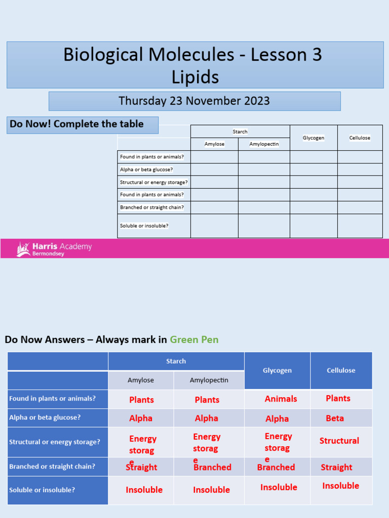 L3 Lipids | PDF | Fatty Acid | Triglyceride