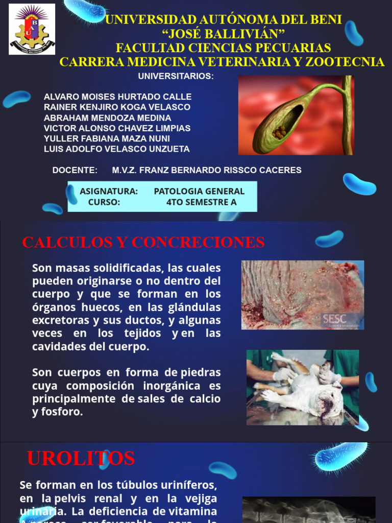Concreciones | PDF | Especialidades Medicas | Sistema digestivo