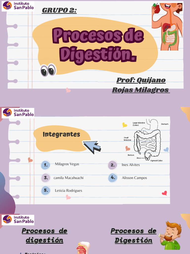 Proceso de Digestion | PDF | Digestión | Sistema digestivo humano