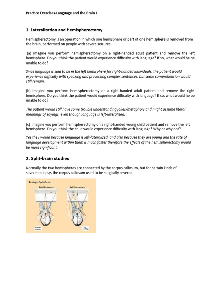Language Impairment Post-Hemispherectomy | PDF | Cerebral Hemisphere ...