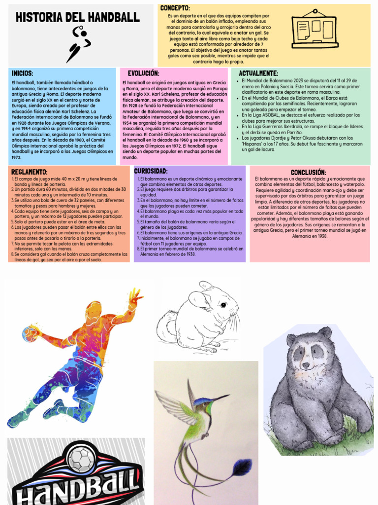 Historia Del Handball | PDF | Pelota | Deportes
