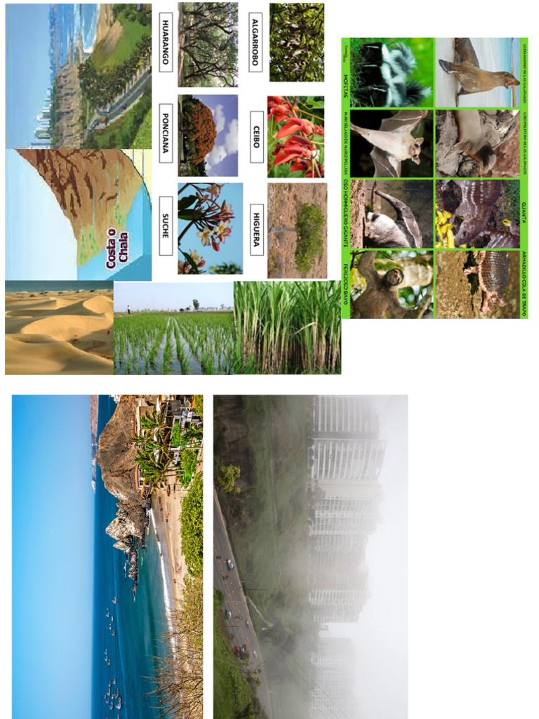 Grey Aesthetic Blank Background A4 Document Landscape | PDF