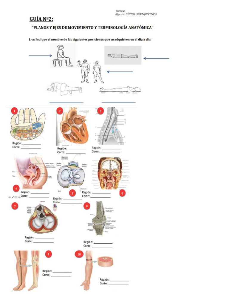 Repaso Planos, Ejes y Movimientos Guia 2 | PDF