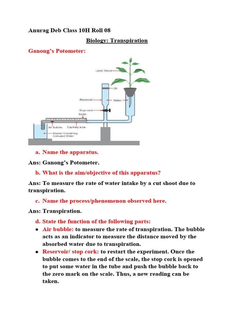 ICSE Potometer and Unequal Transpiration Classnotes | PDF | Leaf | Stoma