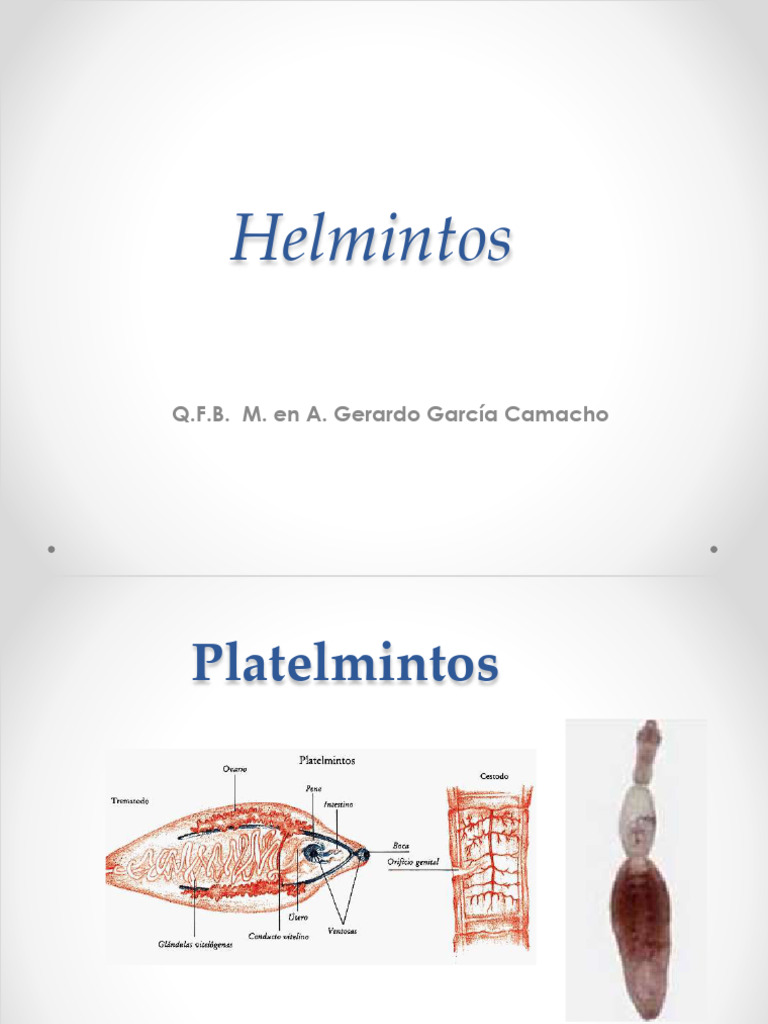 Helmintos | PDF | Especialidades Medicas | Biología