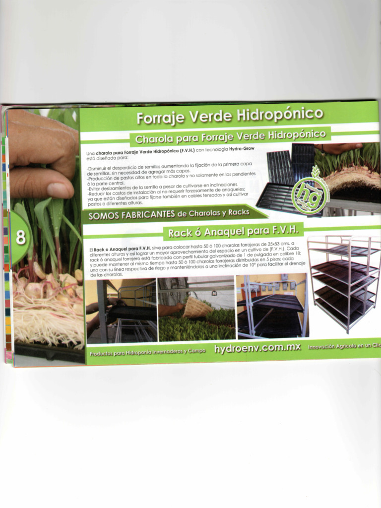 Produccion de FVH | PDF