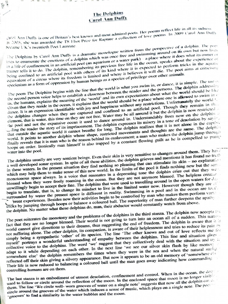 The Dolphins | PDF | Dolphin | Poetry