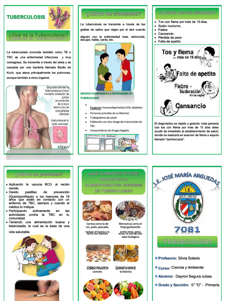 PDF Triptico de Tuberculosisdocx - Compress | PDF | Tuberculosis ...