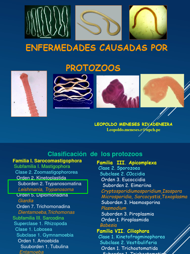 Parasito. Leish | PDF | Organismos | Especialidades Medicas
