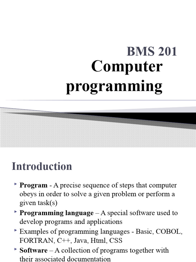 BMS 201 Introduction To Programming 2021 | PDF | Computer Programming | Programming
