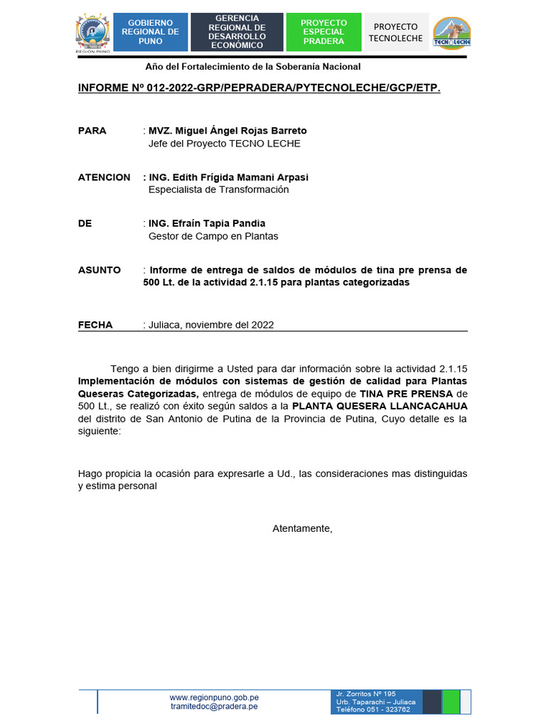 Informe 012 - PUTINA | PDF